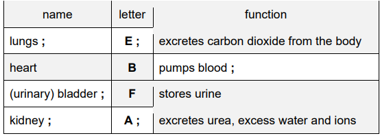 iGCSE Biology (0610)-13.1 Excretion in humans - iGCSE Style Questions ...
