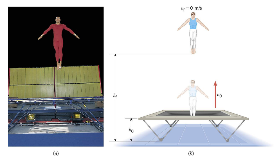 IBDP Physics 2025 SL&HL: 3.1 Work Study Notes