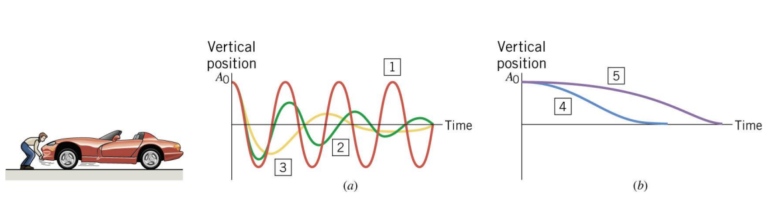 IBDP Physics SL&HL: C.1 Simple harmonic motion Study Notes -First ...