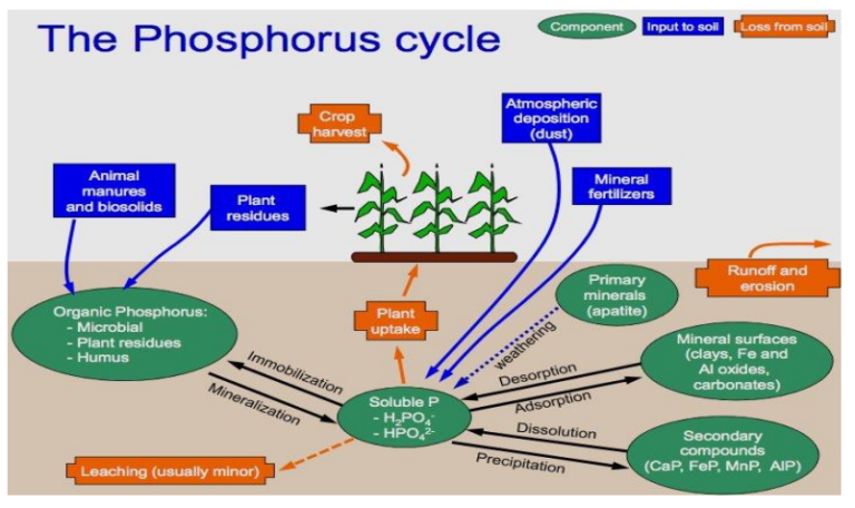 IB MYP 4-5 Chemistry : The atmosphere Study Notes
