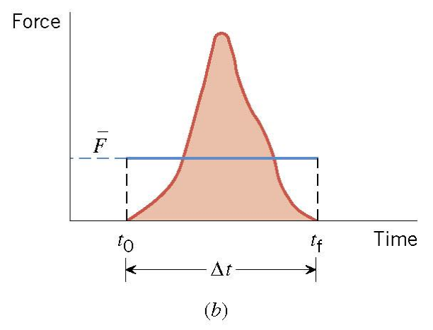 IBDP Physics 2025 SL&HL: A.2-Impulse and force-time graphs- Study Notes