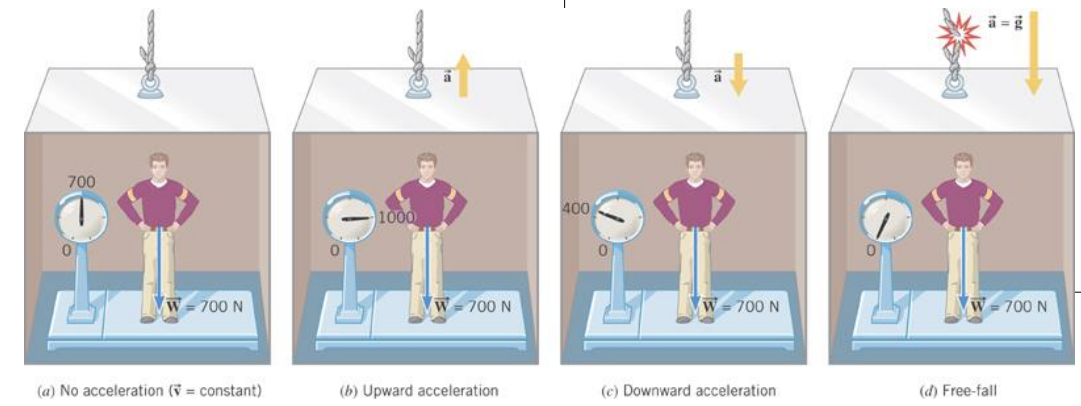 IBDP Physics 2025 SL&HL: 2.1 Forces and their direction Study Notes