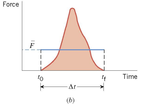 IBDP Physics 2025 SL&HL: A.2-Impulse and force-time graphs- Study Notes