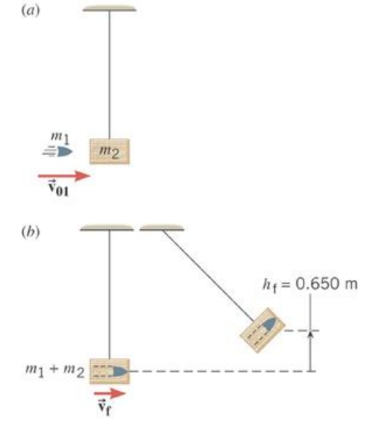 IBDP Physics 2025 SL&HL: A.2-Impulse and force-time graphs- Study Notes