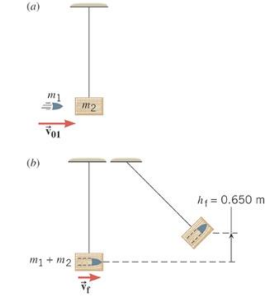 IBDP Physics 2025 SL&HL: A.2-Impulse and force-time graphs- Study Notes