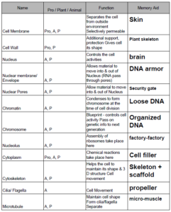 IB MYP Biology Cells Study Notes