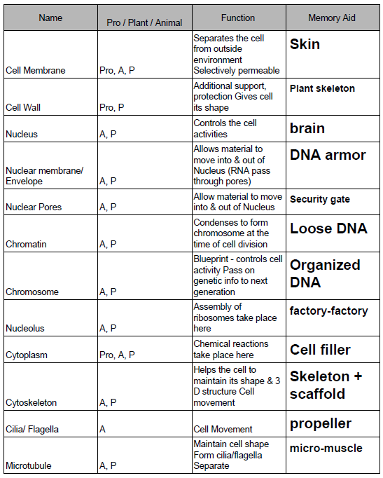 IB MYP Biology Cells Study Notes