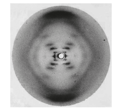 IB DP Biology A. Unity and diversity : A1.2 Nucleic acids-FA 2025 ...