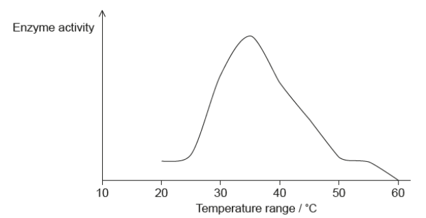 IB DP Biology C1.1 Enzymes and metabolism IB Style Questions SL Paper 1