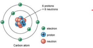 IB DP Biology SL 1.1 Water Flashcards