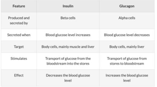 IB DP Biology HL D3.3 Homeostasis Flashcards