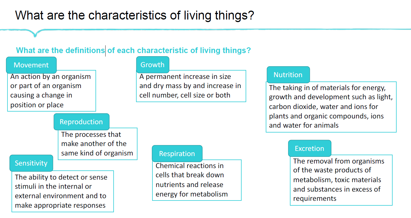 iGCSE Biology Notes Characteristics and classification