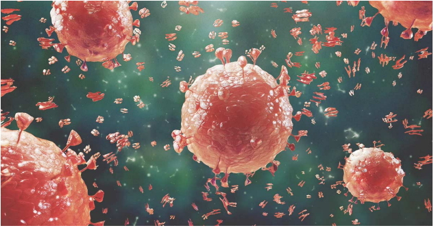 iGCSE Biology Notes Diseases and immunity