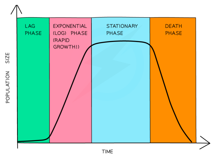 Igcse Biology Notes Organisms And Their Environment