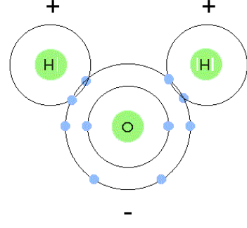 AP® Biology Flashcards Elements of Life