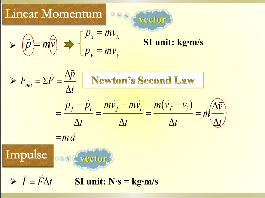 Linear Momentum Flashcards AP Physics 1 | AP Physics 1 2025