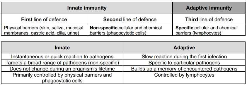IB DP Biology HL C3.2 Defence against disease Flashcards