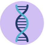 IB DP Biology - IB DP Study Guides - IB DP 2025