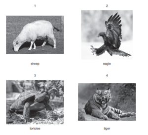 iGCSE Biology (0610)-18.2 Adaptive features - iGCSE Style Questions Paper 1