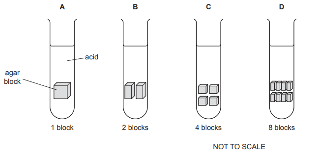 Igcse Biology 0610 3 1 Diffusion Igcse Style Questions Paper 3