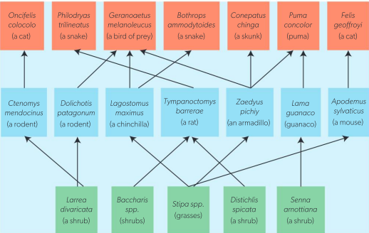 IB DP Biology Transfers of energy and matter Study Notes | New Syllabus