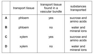 iGCSE Biology (0610)-8.1 Xylem and phloem - iGCSE Style Questions Paper 1