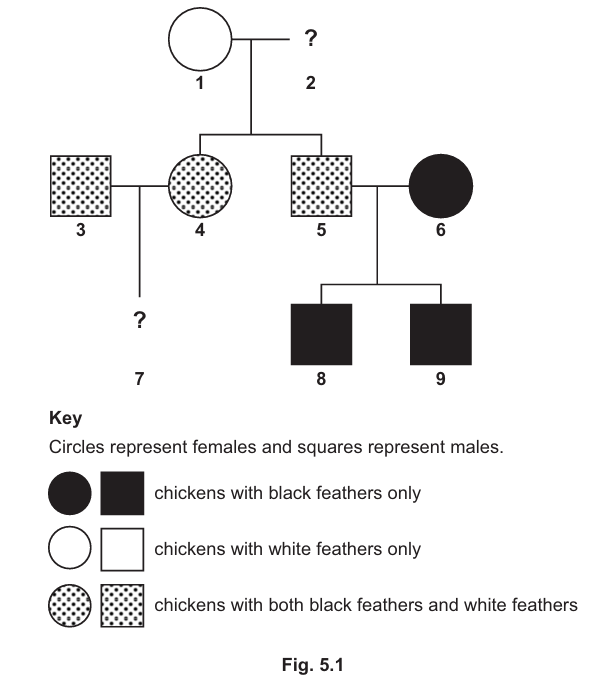 Igcse Biology 0610 17 4 Monohybrid Inheritance Igcse Style Questions Paper 4