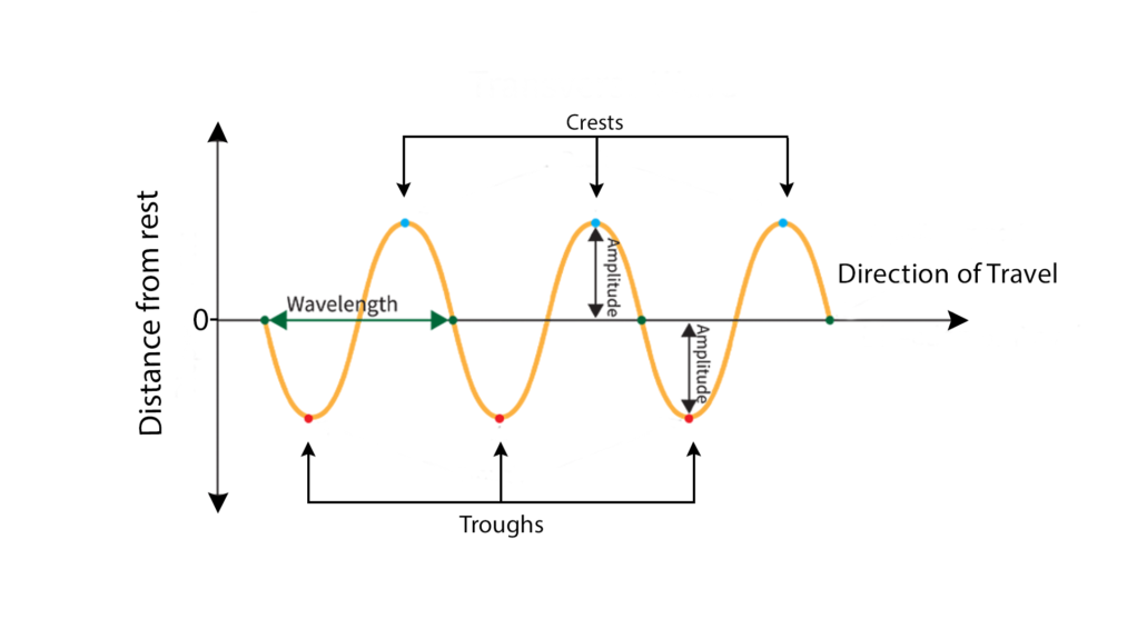 General properties of waves Study Notes | CIE iGCSE Physics