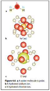 The ionic model - IB DP Chemistry- Study Notes | IITian Academy