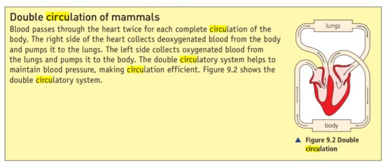 iGCSE Biology (0610)-9.1 Circulatory systems - iGCSE Style Questions ...