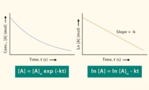 AP Chemistry 5.3 Concentration Changes Over Time Study Notes