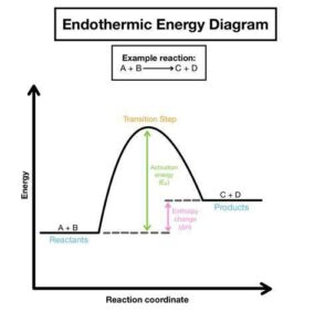 AP Chemistry 6.1 Endothermic and Exothermic Processes Study Notes
