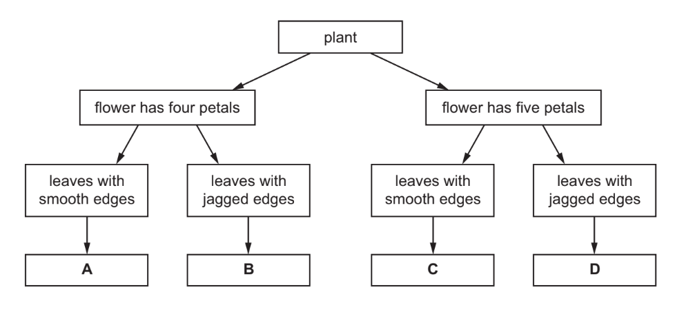 Igcse Biology 0610 1 2 Concept And Uses Of Classification Systems Igcse Style Questions Paper 1