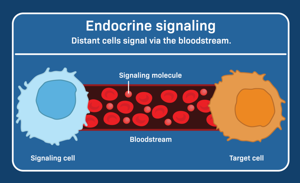 AP Biology 4.1 Cell Communication Study Notes