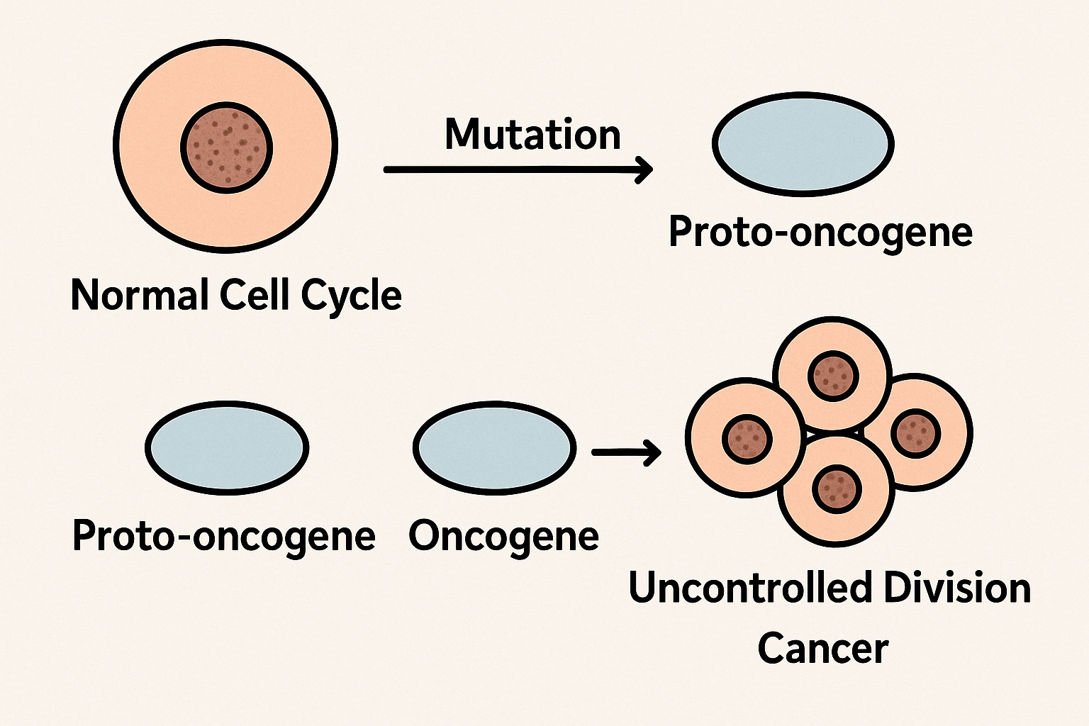 IB DP Biology-D1.3 Mutations and gene editing -FA 2025- IB Style ...