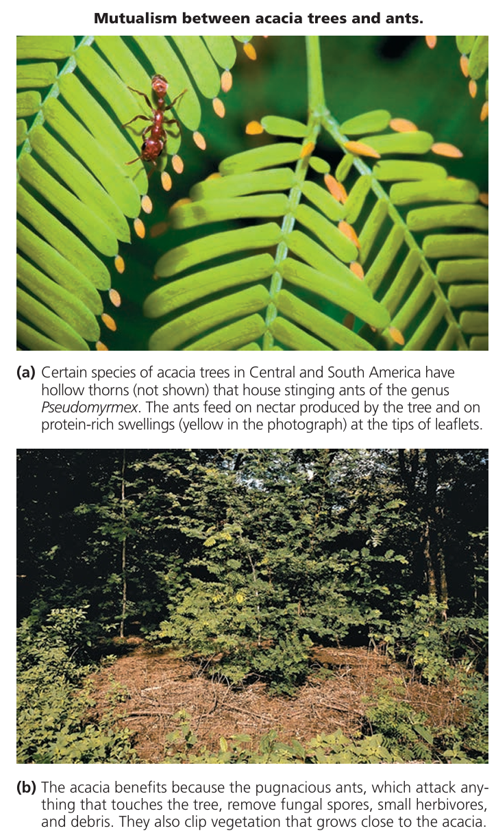 IB MYP 4-5 Biology-Interdependency- Study Notes