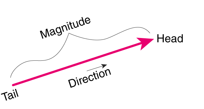 IB Mathematics AA Concept of a vector Study Notes