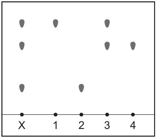 iGCSE Chemistry (0620) Core:12.3 Chromatography: Exam Style Questions ...