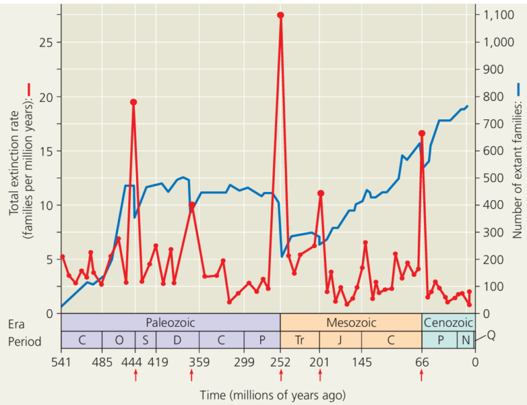 IB MYP 4-5 Biology-Speciation and extinction- Study Notes