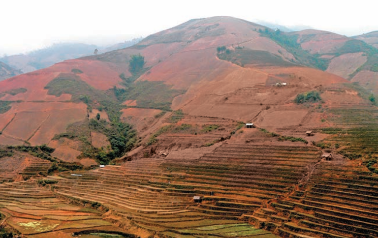 IB MYP 4-5 Biology-Over exploitation- Study Notes