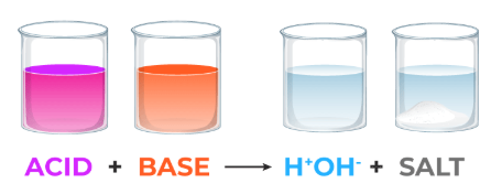 IB DP Chemistry - R3.1.7 Neutralization reactions - Study Notes