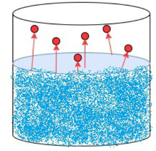CIE iGCSE Chemistry Solids, liquids and gases Study Notes | iGCSE ...