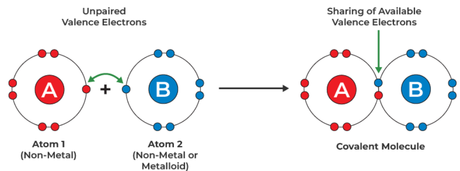 CIE iGCSE Chemistry Simple molecules and covalent bonds Study Notes ...