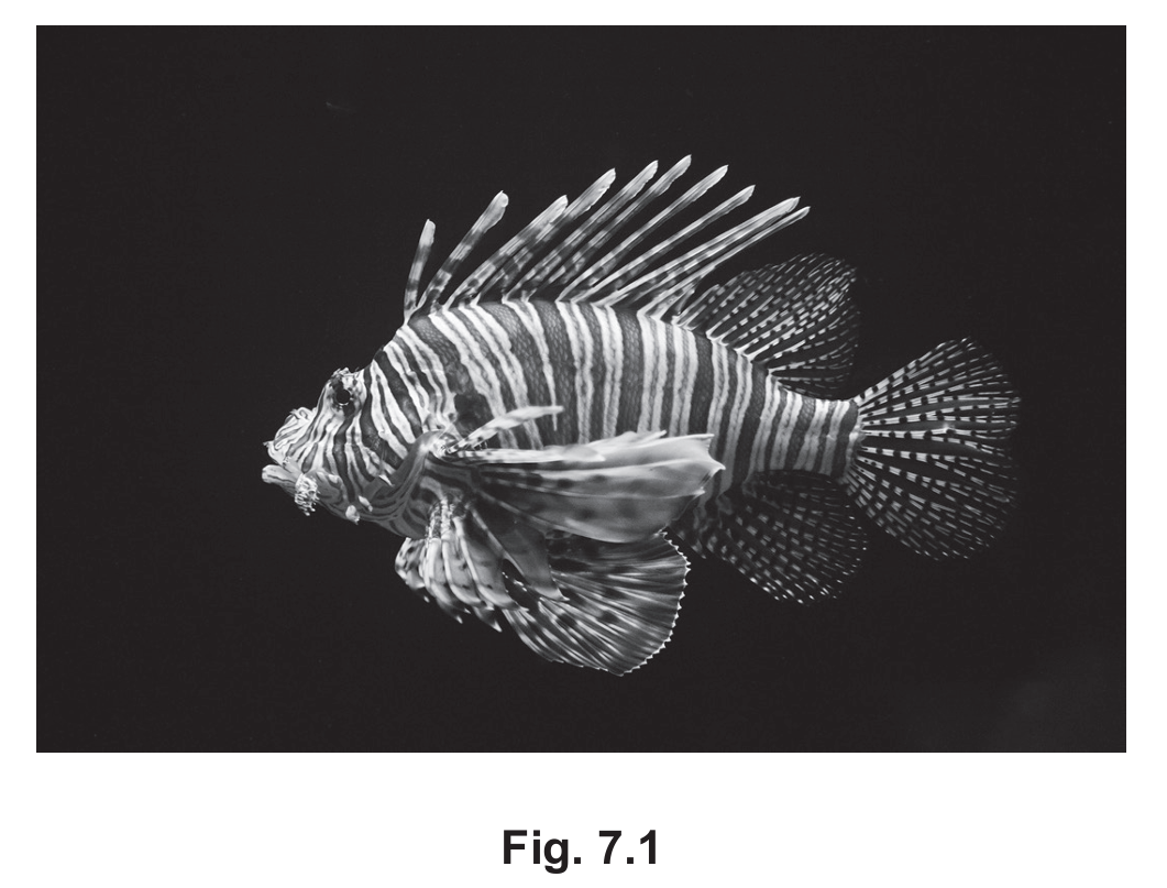 Igcse Biology 0610 1 2 Concept And Uses Of Classification Systems Igcse Style Questions Paper 3