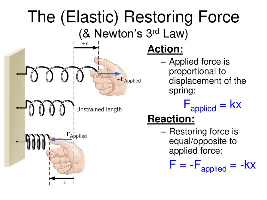 IB DP Physics Newton’s laws of motion Study Notes