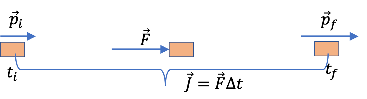 IB DP Physics Impulse and force-time graphs Study Notes