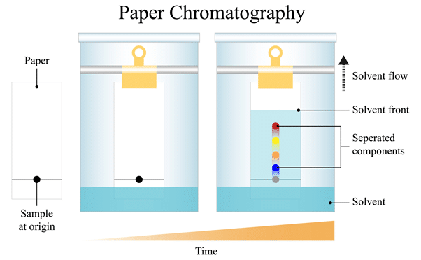 CIE iGCSE Chemistry Chromatography Study Notes | iGCSE Chemistry Notes CIE