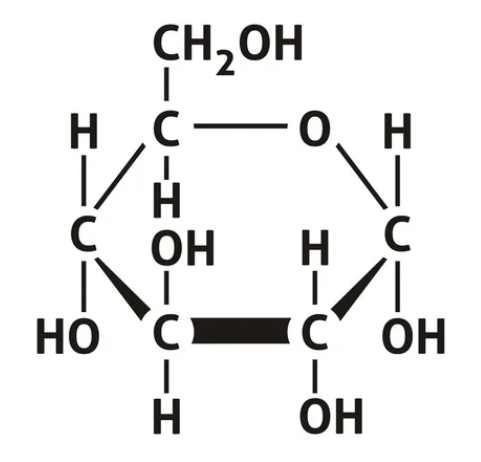 Edexcel iGCSE Biology-2.8 structure of carbohydrates, proteins and ...